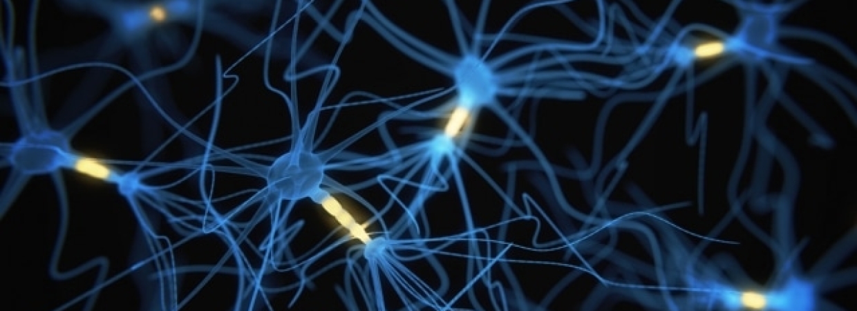 2017-new-tool-offers-snapshots-of-neuron-activity – Tye Laboratory